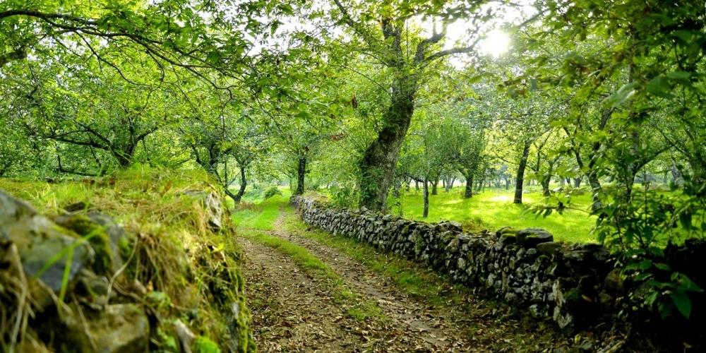 The extinct Volcano of Roccamonfina: the legend of a charmed place ...